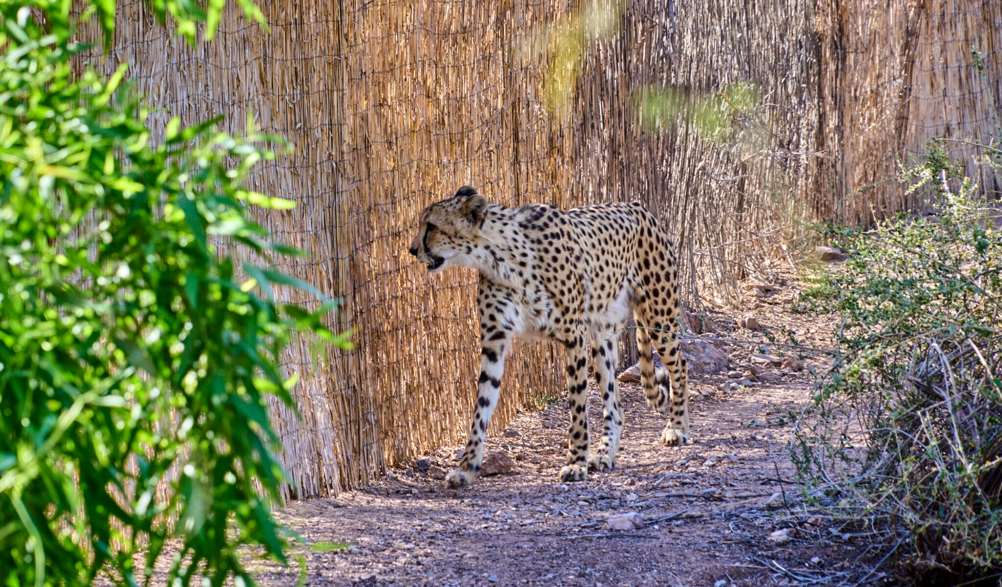 Phoenix Zoo Veterinary Medical Center & Quarantine Campus ...